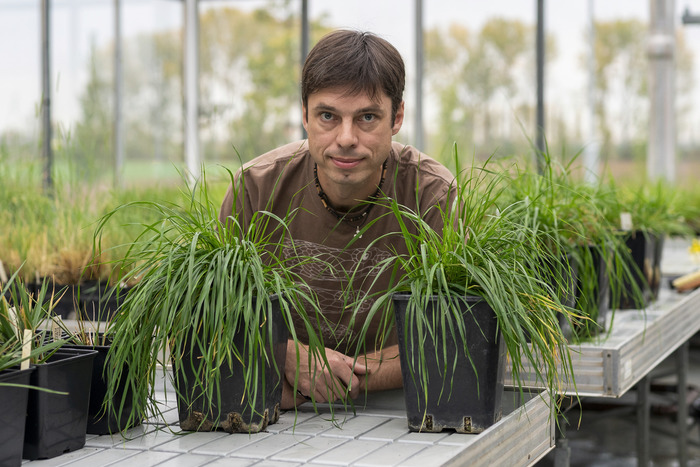 Scientific Board - Fodder Crops and Amenity Grasses Section (EUCARPIA)